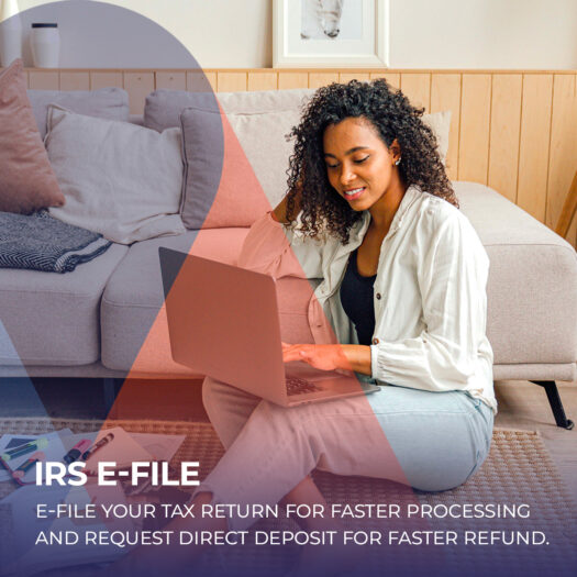 Individual and business taxpayer: File your tax return electronically ...